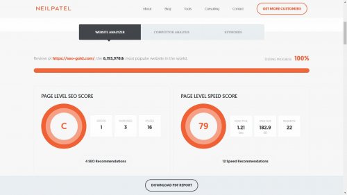 Neil Patel SEO Analysis Tool Results