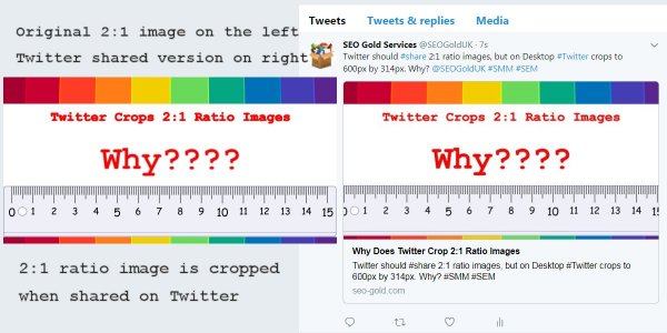 Twitter Crops Shared Images Screenshot